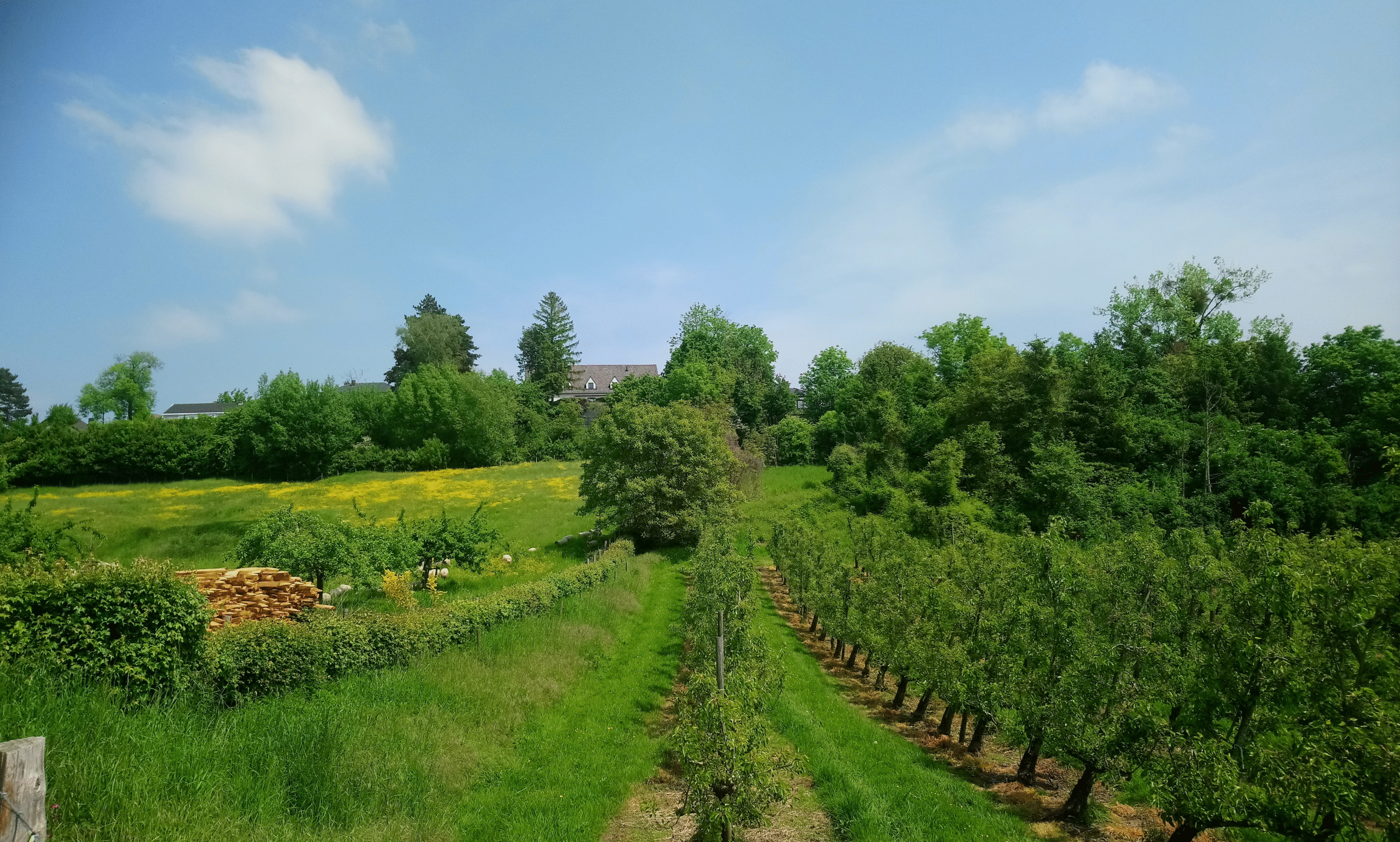 borgloon (aan natuurpunt) - Truiensnieuws.be
